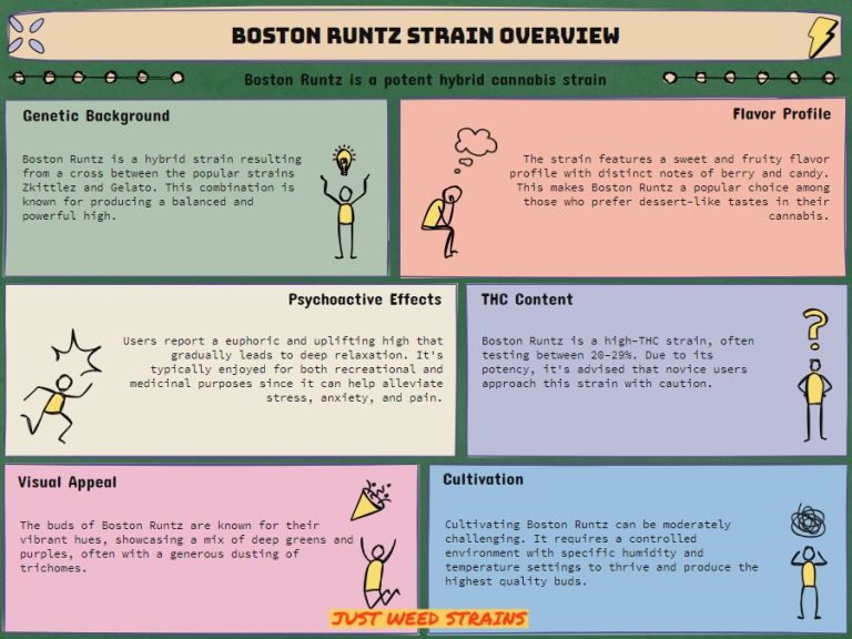 Boston Runtz Cannabis Strain - Just Weed Strains